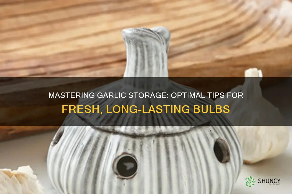 Mastering Garlic Storage: Optimal Tips For Fresh, Long-Lasting Bulbs ...