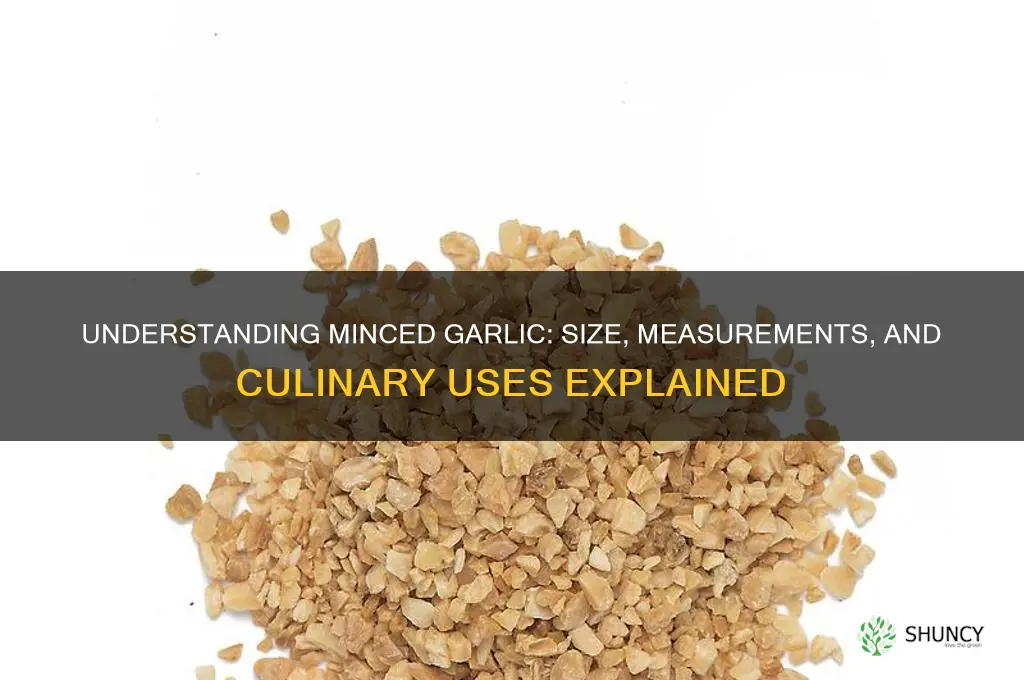 Understanding Minced Garlic: Size, Measurements, And Culinary Uses ...