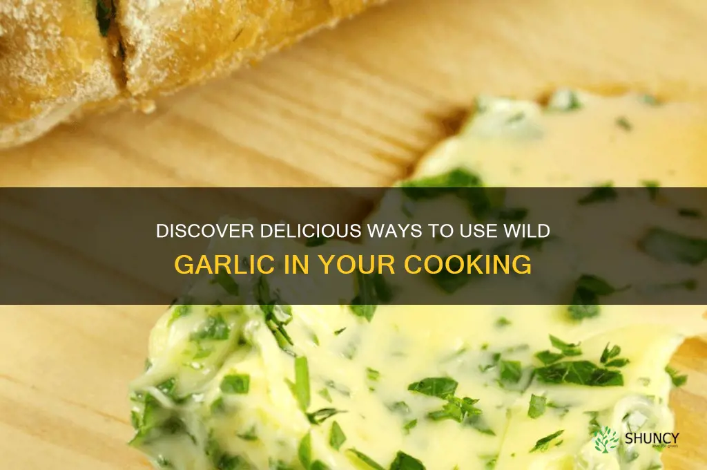 Discover Delicious Ways To Use Wild Garlic In Your Cooking | ShunCy