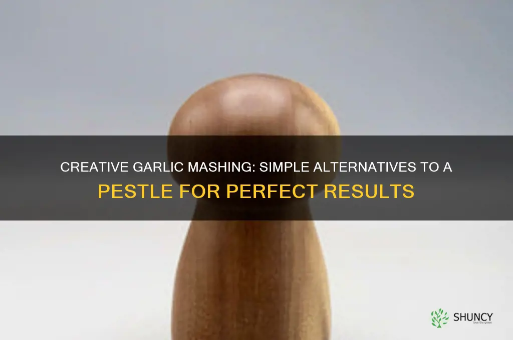 Creative Garlic Mashing: Simple Alternatives To A Pestle For Perfect ...
