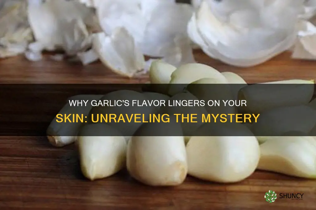 Why Garlic's Flavor Lingers On Your Skin: Unraveling The Mystery | ShunCy