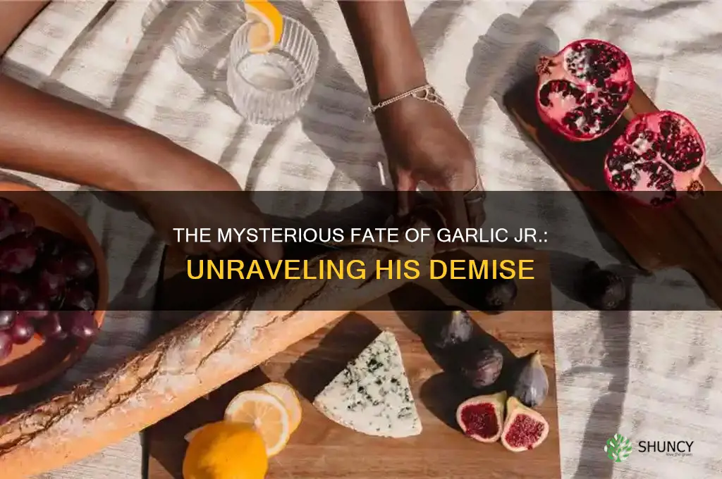 The Mysterious Fate Of Garlic Jr.: Unraveling His Demise | ShunCy