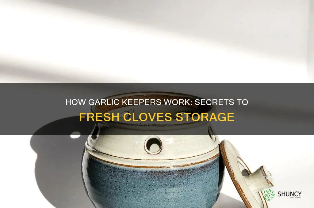 How Garlic Keepers Work: Secrets To Fresh Cloves Storage | ShunCy