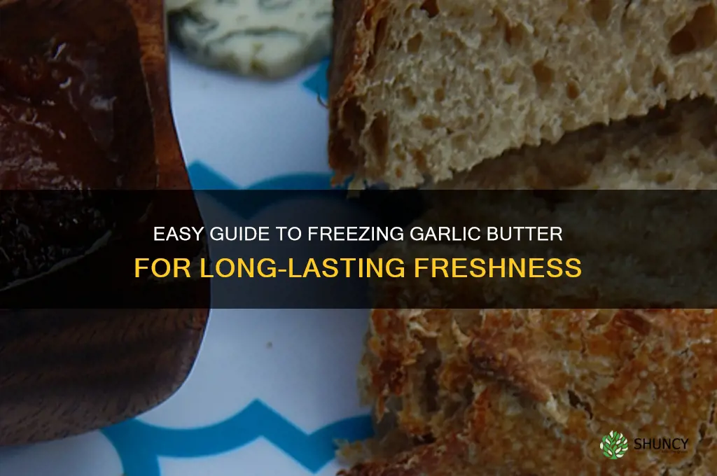 Easy Guide To Freezing Garlic Butter For Long-Lasting Freshness | ShunCy