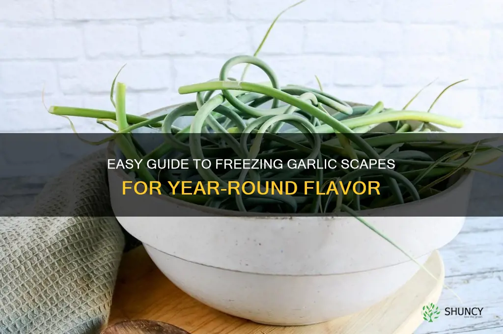 Easy Guide To Freezing Garlic Scapes For Year-Round Flavor | ShunCy