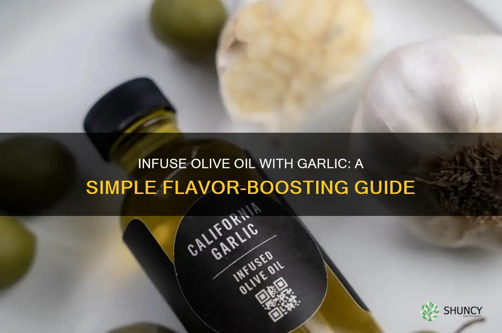 Infuse Olive Oil With Garlic: A Simple Flavor-Boosting Guide | ShunCy