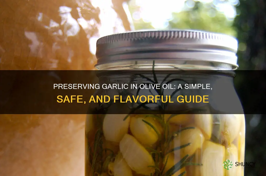 Preserving Garlic In Olive Oil