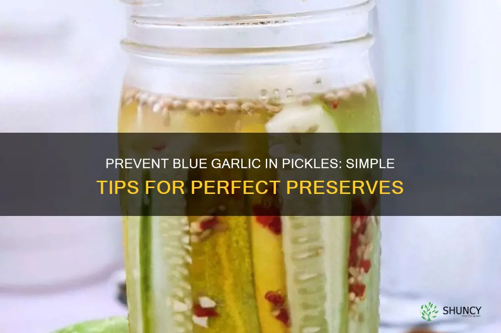 Prevent Blue Garlic In Pickles: Simple Tips For Perfect Preserves | ShunCy