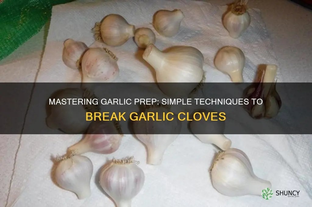 Mastering Garlic Prep: Simple Techniques To Break Garlic Cloves | ShunCy