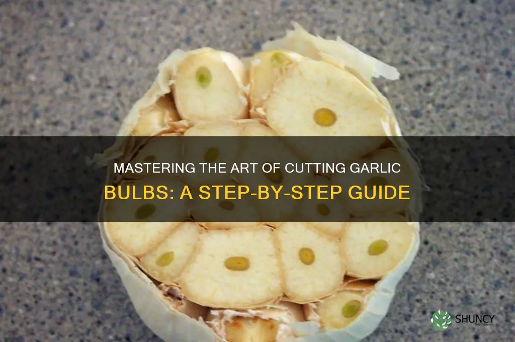 Mastering The Art Of Cutting Garlic Bulbs: A Step-By-Step Guide | ShunCy