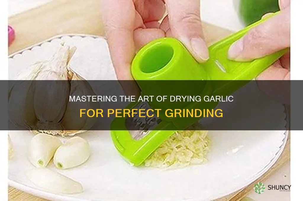 Mastering The Art Of Drying Garlic For Perfect Grinding | ShunCy