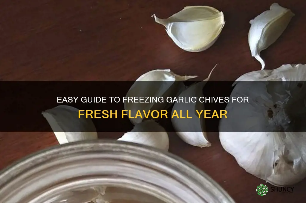 Easy Guide To Freezing Garlic Chives For Fresh Flavor All Year | ShunCy