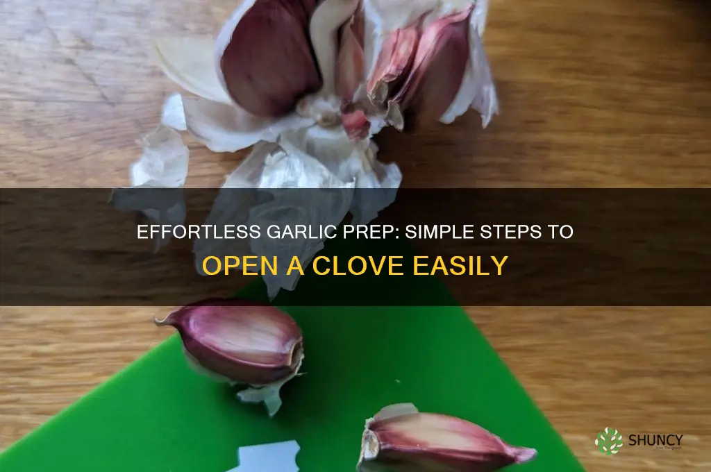 Effortless Garlic Prep: Simple Steps To Open A Clove Easily | ShunCy