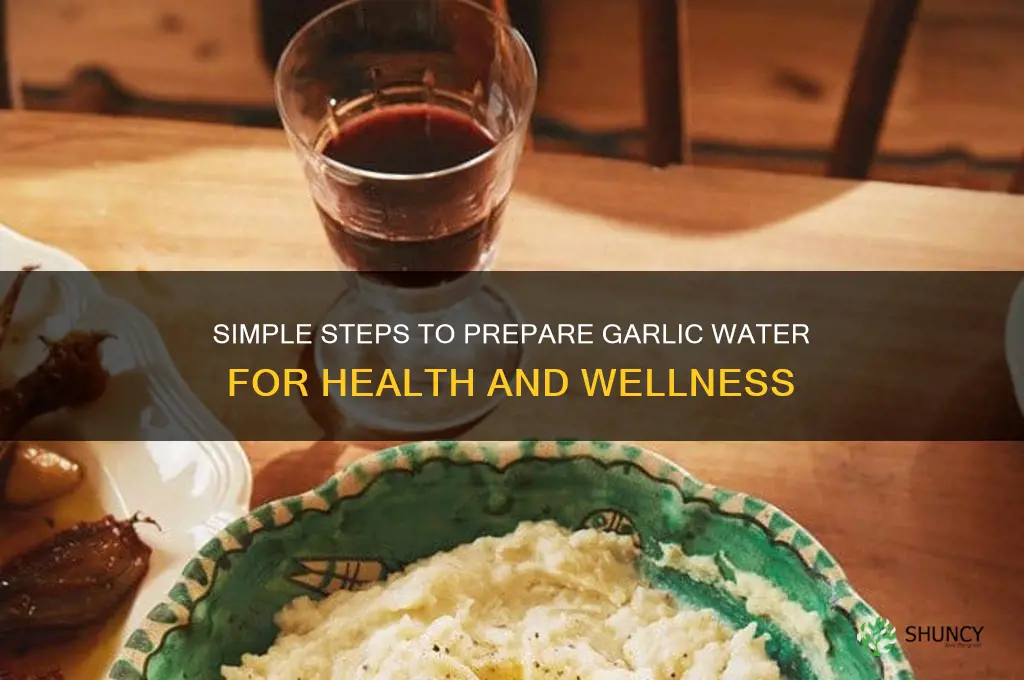 Simple Steps To Prepare Garlic Water For Health And Wellness | ShunCy