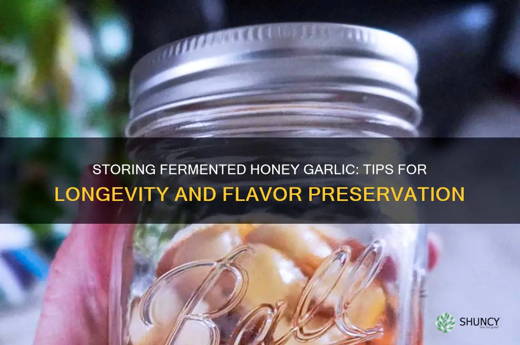 Storing Fermented Honey Garlic: Tips For Longevity And Flavor ...