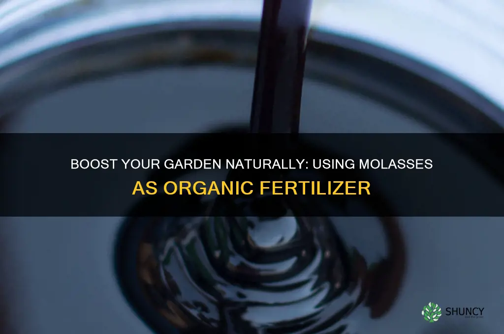 Boost Your Garden Naturally: Using Molasses As Organic Fertilizer | ShunCy
