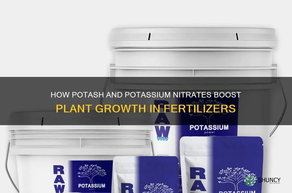How Potash And Potassium Nitrates Boost Plant Growth In Fertilizers ...