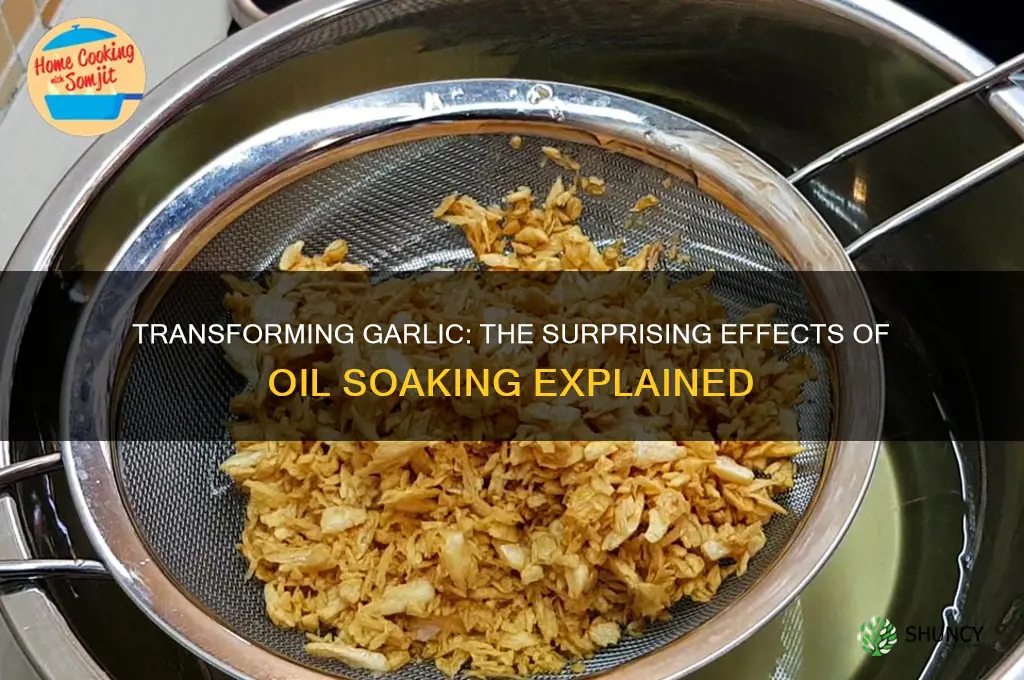 Transforming Garlic: The Surprising Effects Of Oil Soaking Explained ...