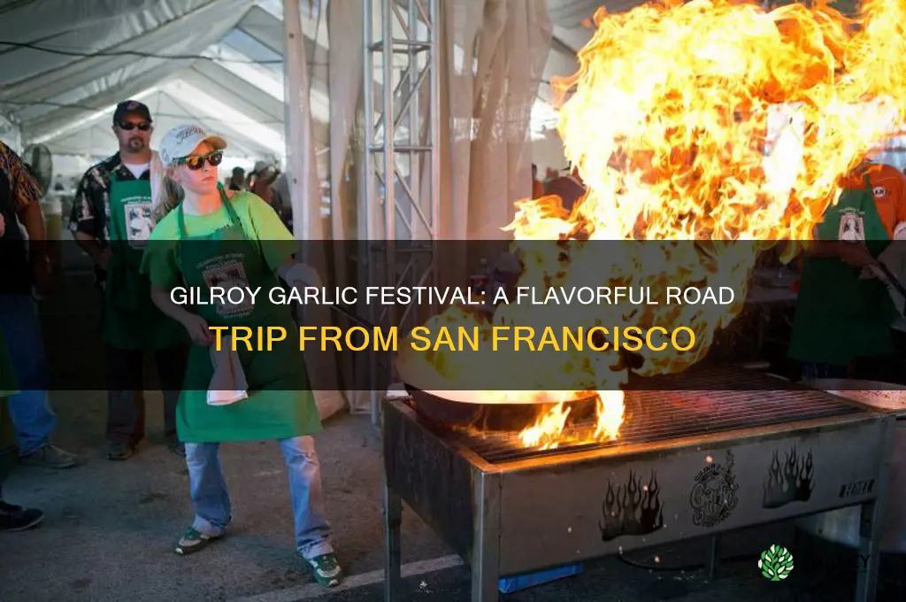 Gilroy Garlic Festival: A Flavorful Road Trip From San Francisco | ShunCy