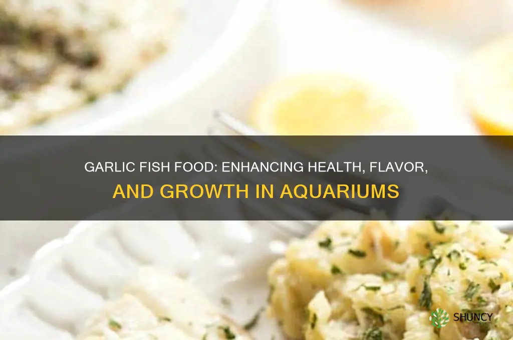 Garlic Fish Food: Enhancing Health, Flavor, And Growth In Aquariums ...