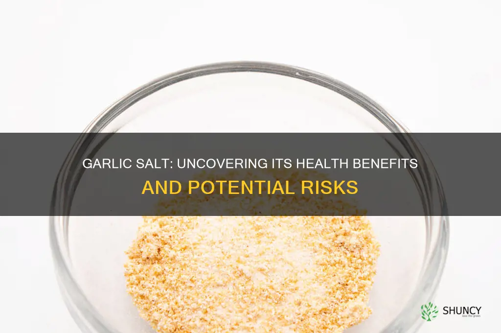 Garlic Salt: Uncovering Its Health Benefits And Potential Risks | ShunCy