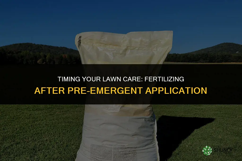Timing Your Lawn Care: Fertilizing After Pre-Emergent Application | ShunCy