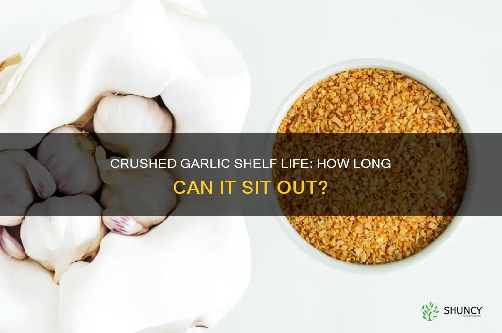 Crushed Garlic Shelf Life: How Long Can It Sit Out? | ShunCy