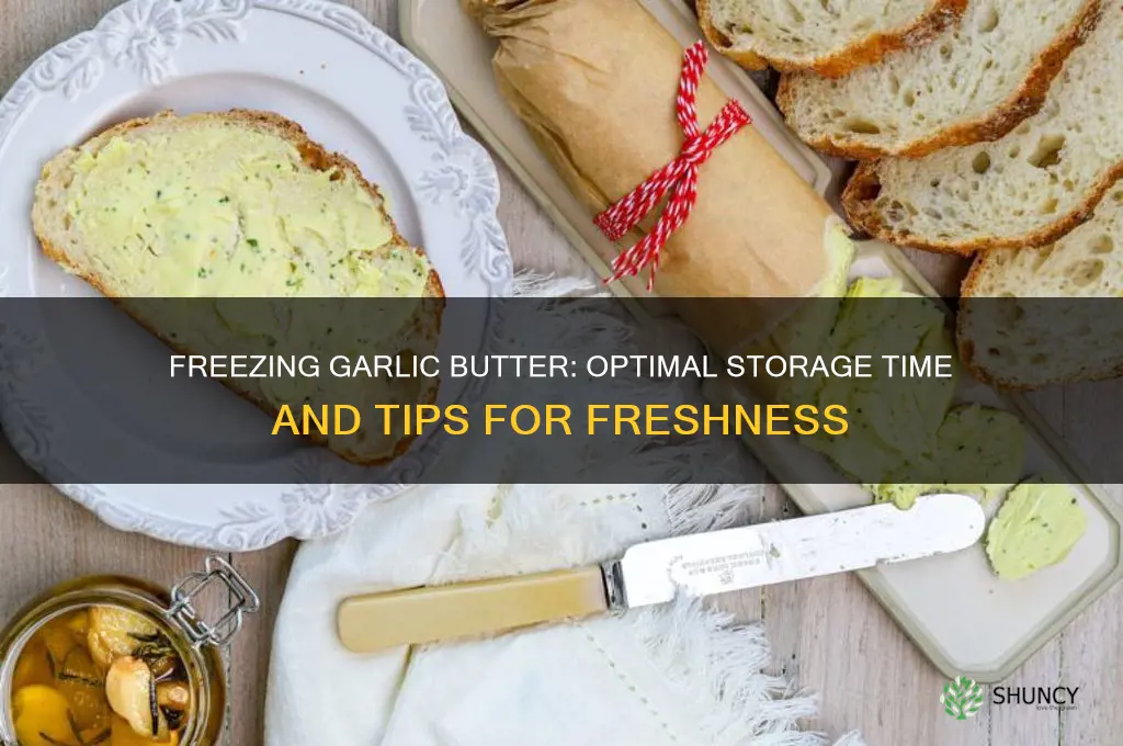 Freezing Garlic Butter: Optimal Storage Time And Tips For Freshness ...