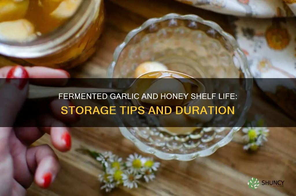 Fermented Garlic And Honey Shelf Life: Storage Tips And Duration | ShunCy