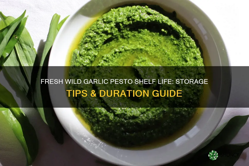 Fresh Wild Garlic Pesto Shelf Life: Storage Tips & Duration Guide | ShunCy