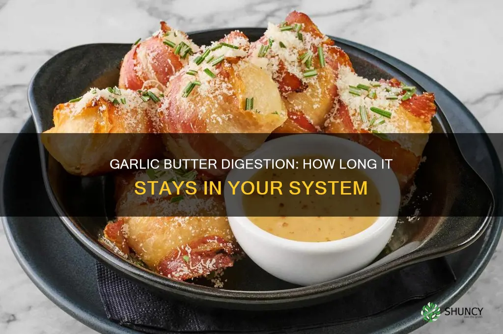 Garlic Butter Digestion: How Long It Stays In Your System | ShunCy