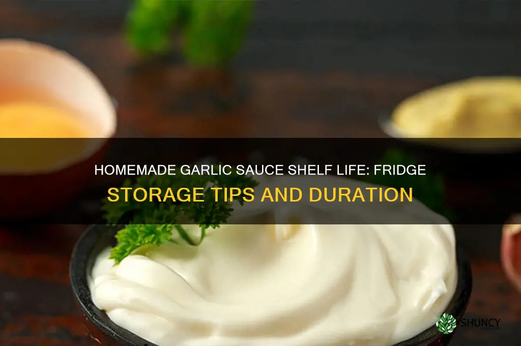 Homemade Garlic Sauce Shelf Life: Fridge Storage Tips And Duration | ShunCy