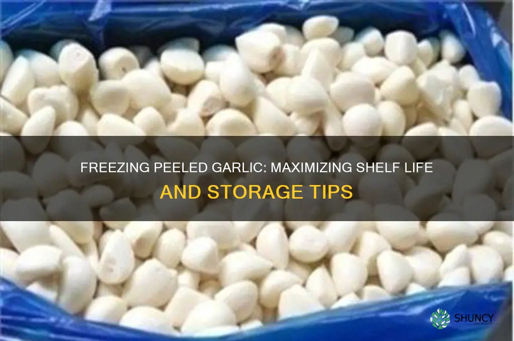 Freezing Peeled Garlic: Maximizing Shelf Life And Storage Tips | ShunCy