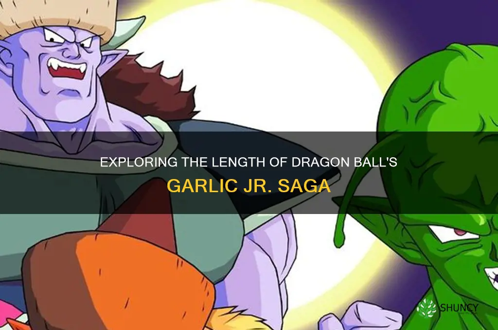 Exploring The Length Of Dragon Ball's Garlic Jr. Saga | ShunCy
