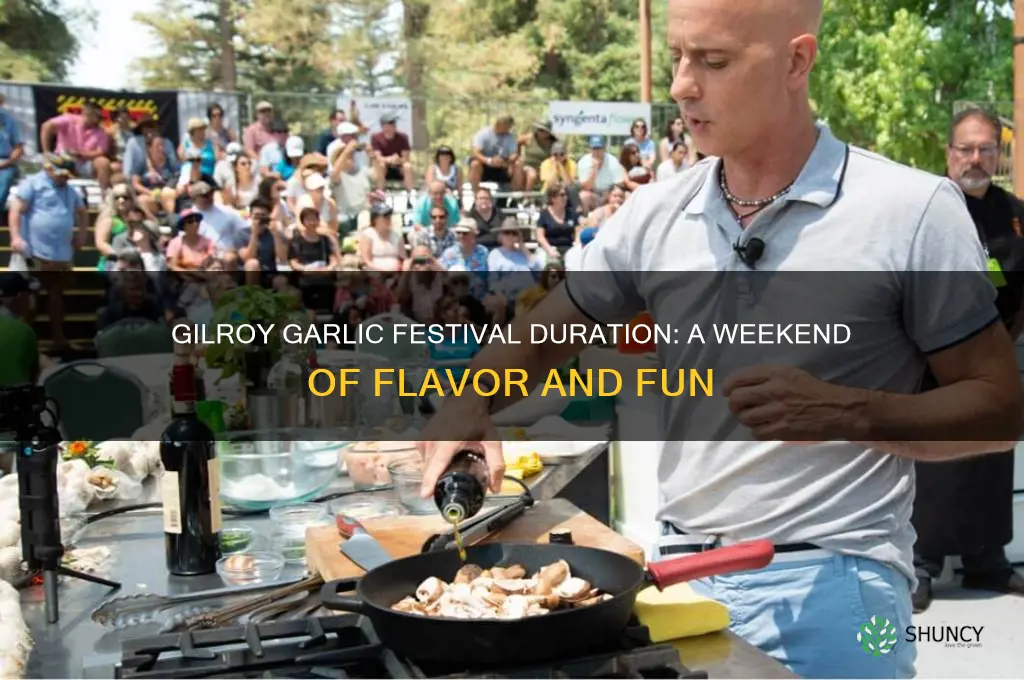 Gilroy Garlic Festival Duration: A Weekend Of Flavor And Fun | ShunCy