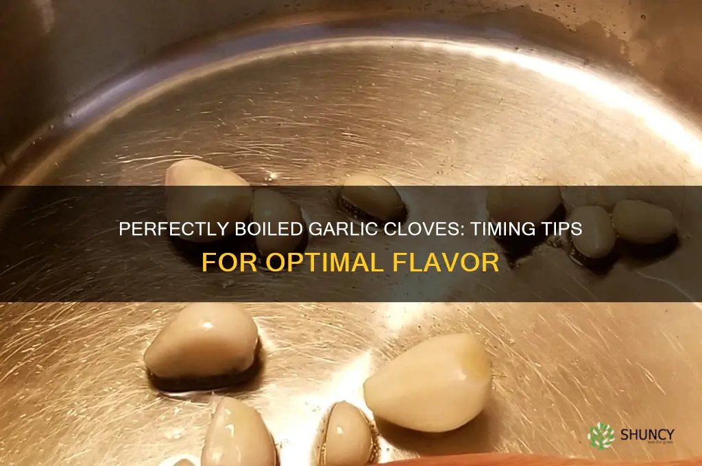 Perfectly Boiled Garlic Cloves: Timing Tips For Optimal Flavor | ShunCy