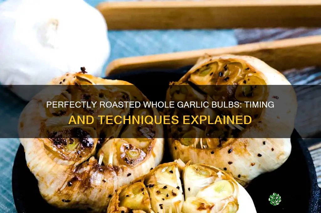Perfectly Roasted Whole Garlic Bulbs: Timing And Techniques Explained ...