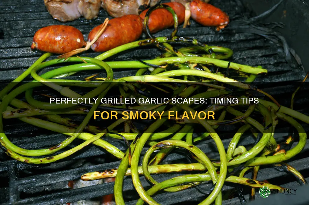 Perfectly Grilled Garlic Scapes: Timing Tips For Smoky Flavor | ShunCy