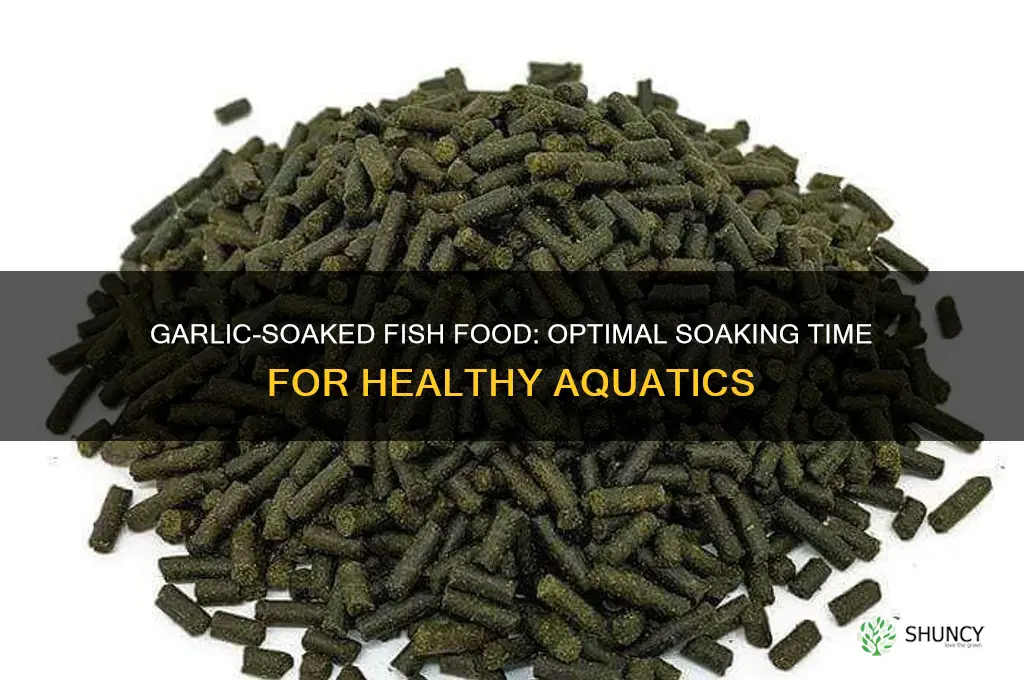 Garlic-Soaked Fish Food: Optimal Soaking Time For Healthy Aquatics | ShunCy