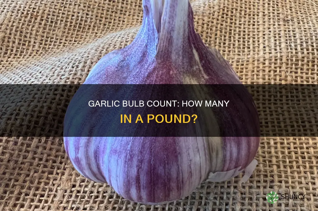 Garlic Bulb Count: How Many In A Pound? | ShunCy