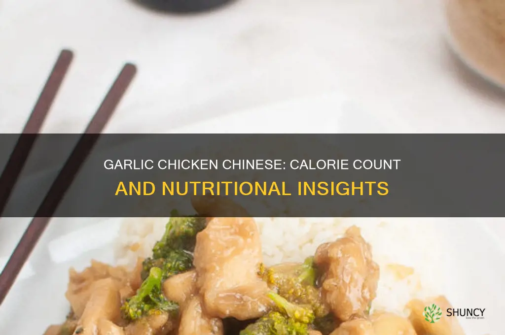 Garlic Chicken Chinese: Calorie Count And Nutritional Insights | ShunCy