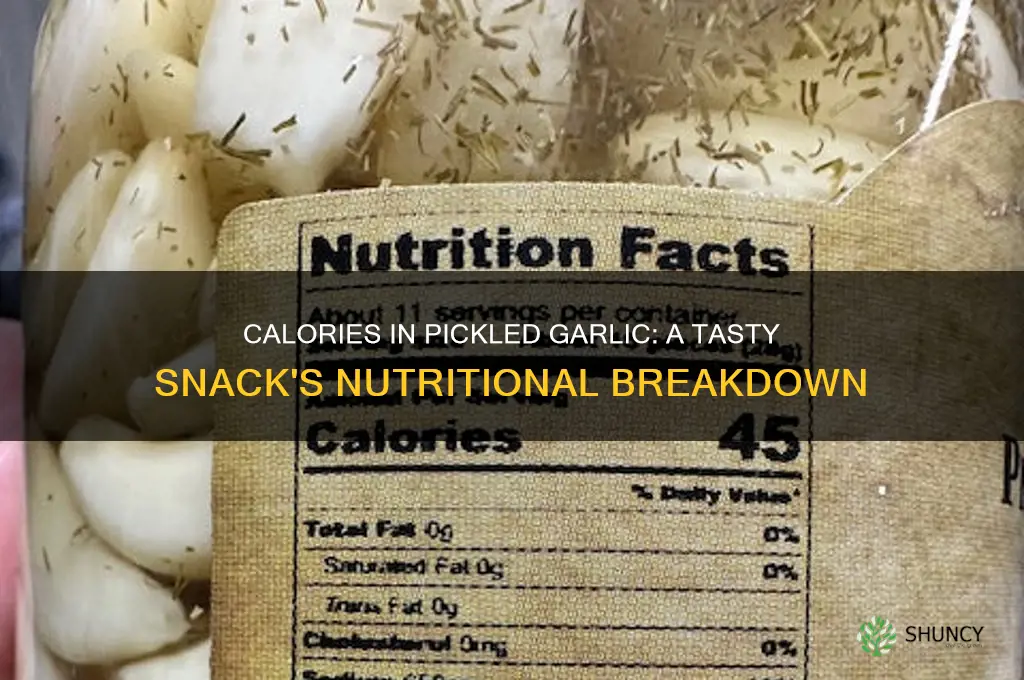 Calories In Pickled Garlic: A Tasty Snack's Nutritional Breakdown | ShunCy