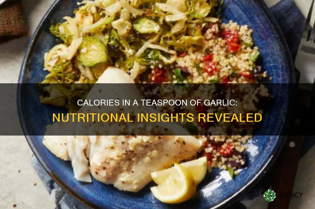 Calories In A Teaspoon Of Garlic: Nutritional Insights Revealed | ShunCy