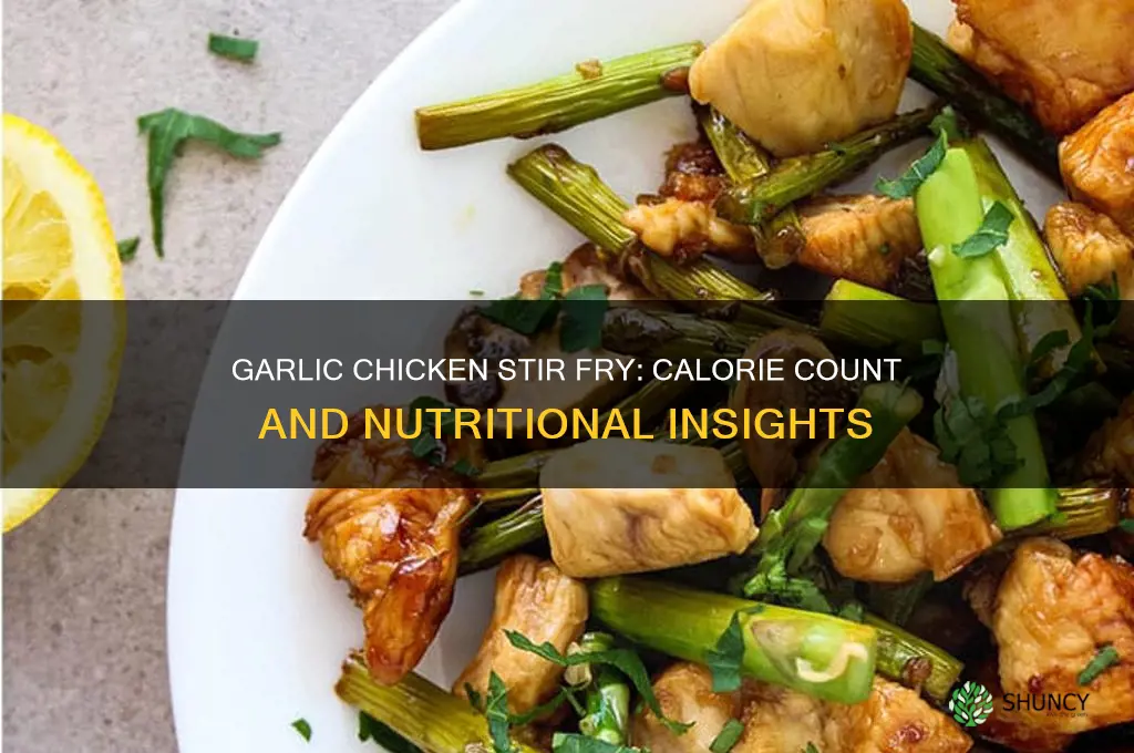 Garlic Chicken Stir Fry: Calorie Count And Nutritional Insights | ShunCy