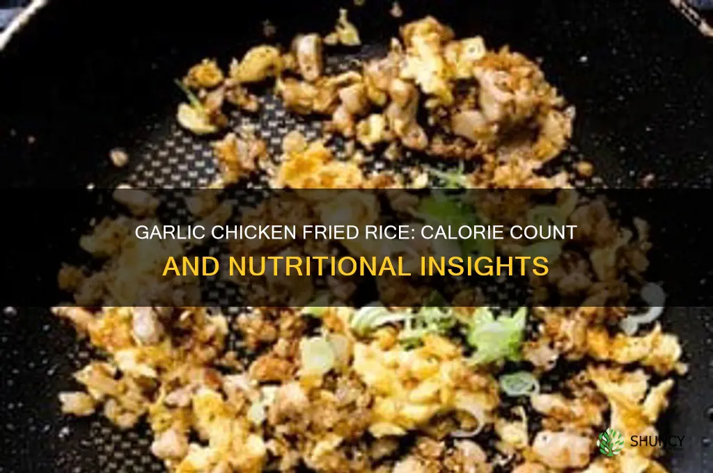 Garlic Chicken Fried Rice: Calorie Count And Nutritional Insights | ShunCy