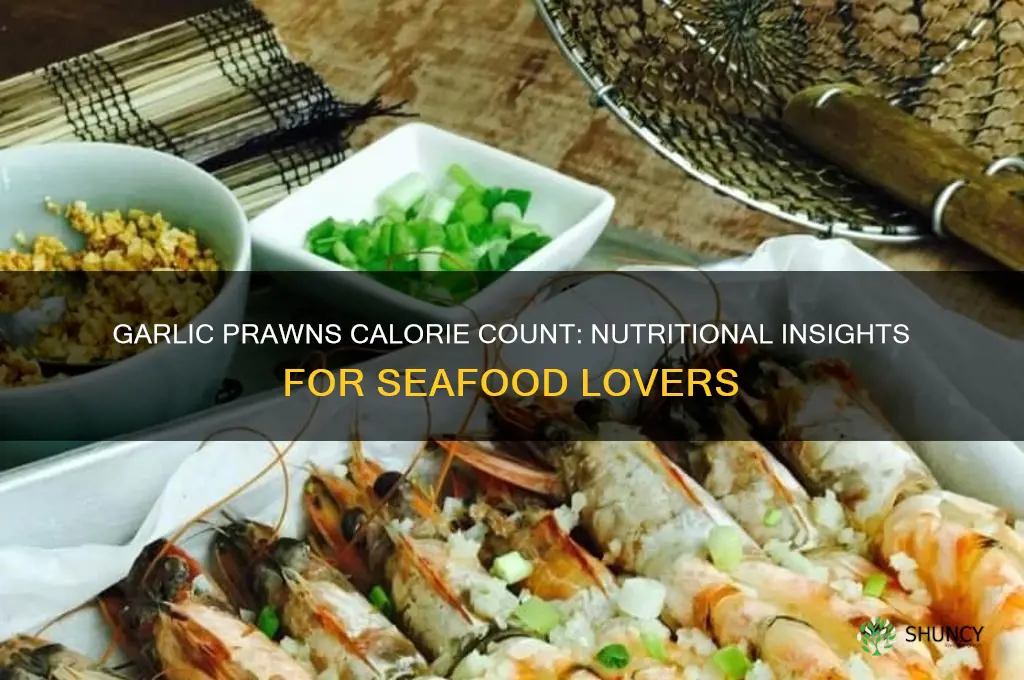 Garlic Prawns Calorie Count: Nutritional Insights For Seafood Lovers ...
