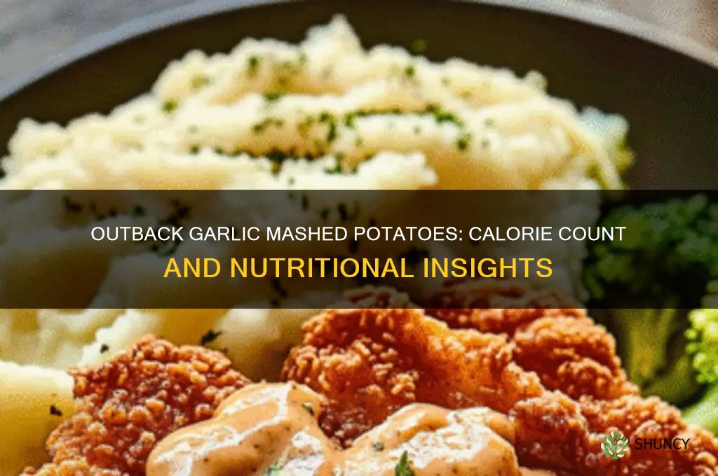 Outback Garlic Mashed Potatoes: Calorie Count And Nutritional Insights ...