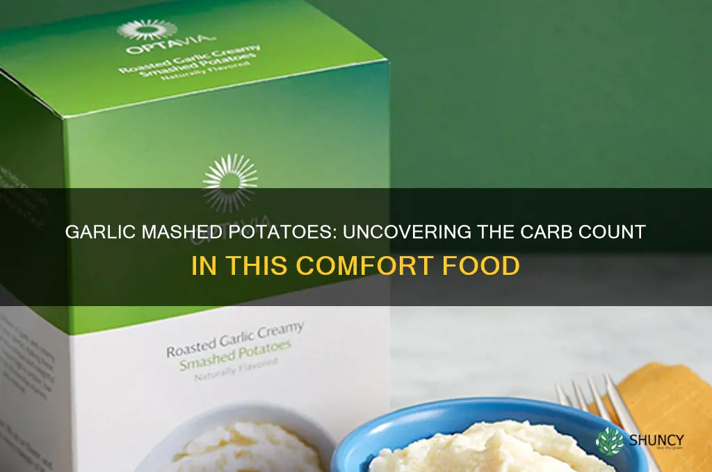 Garlic Mashed Potatoes: Uncovering The Carb Count In This Comfort Food ...