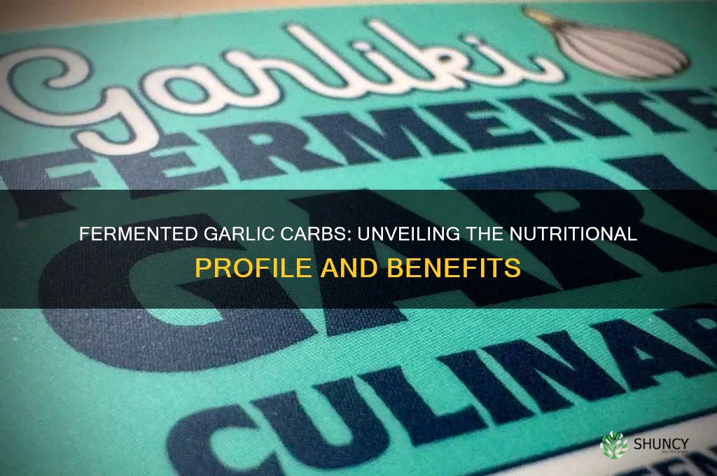 Fermented Garlic Carbs: Unveiling The Nutritional Profile And Benefits ...