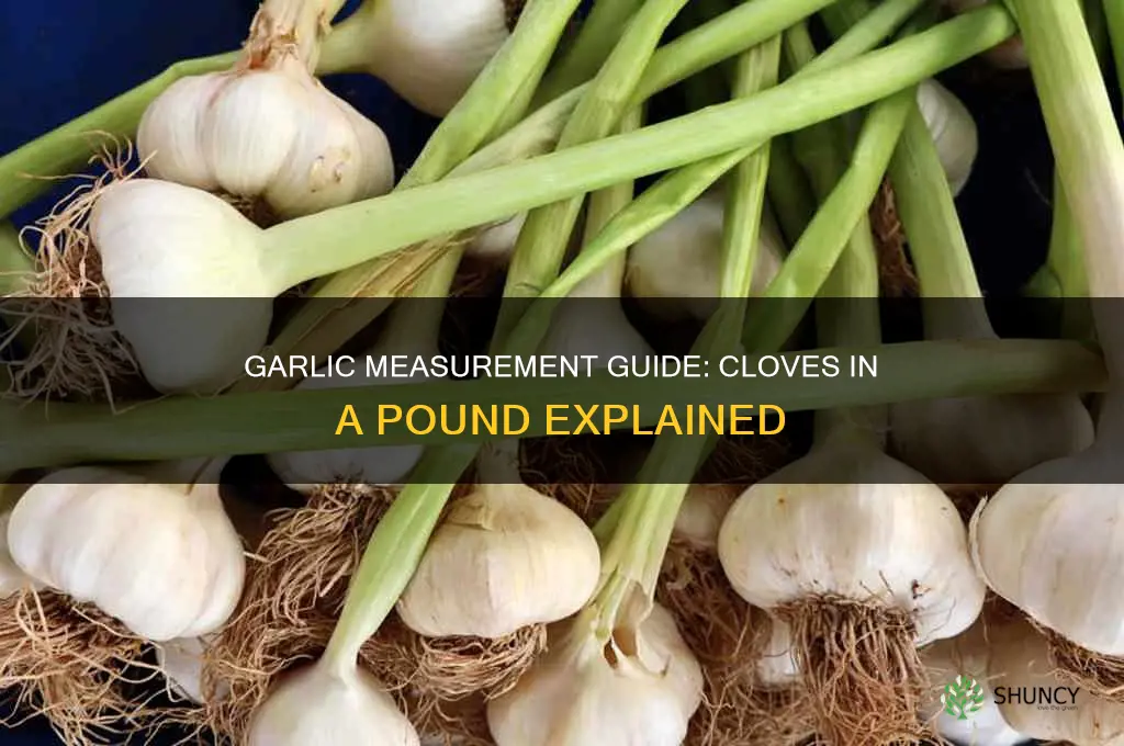 Garlic Measurement Guide: Cloves In A Pound Explained | ShunCy